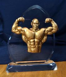 bodybuilding trophies & awards. Male physique, female Figure awards