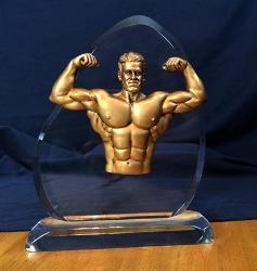 bodybuilding trophies & awards. Male physique, female Figure awards